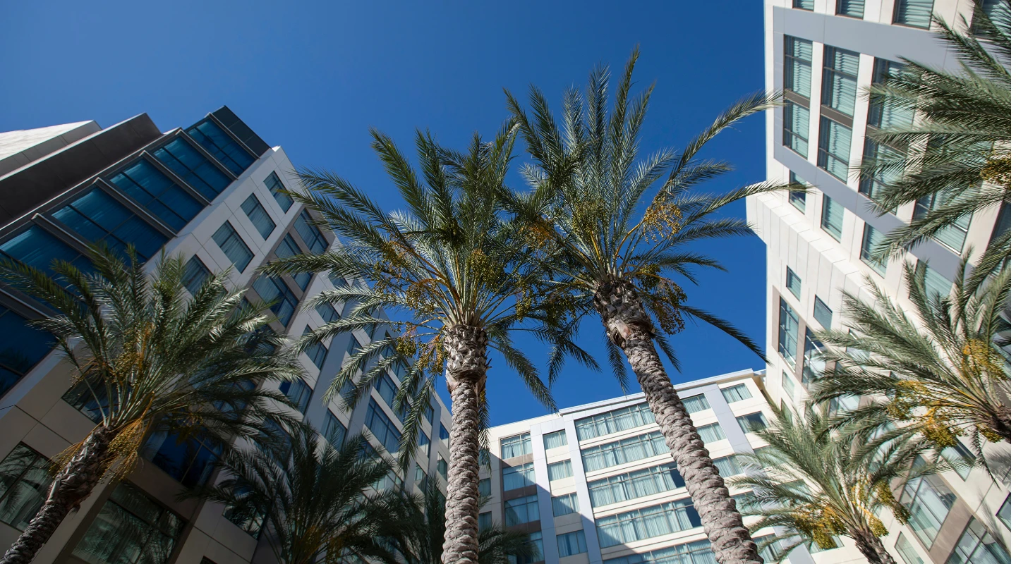 Anaheim Employment Lawyer | Experienced Labor Attorney